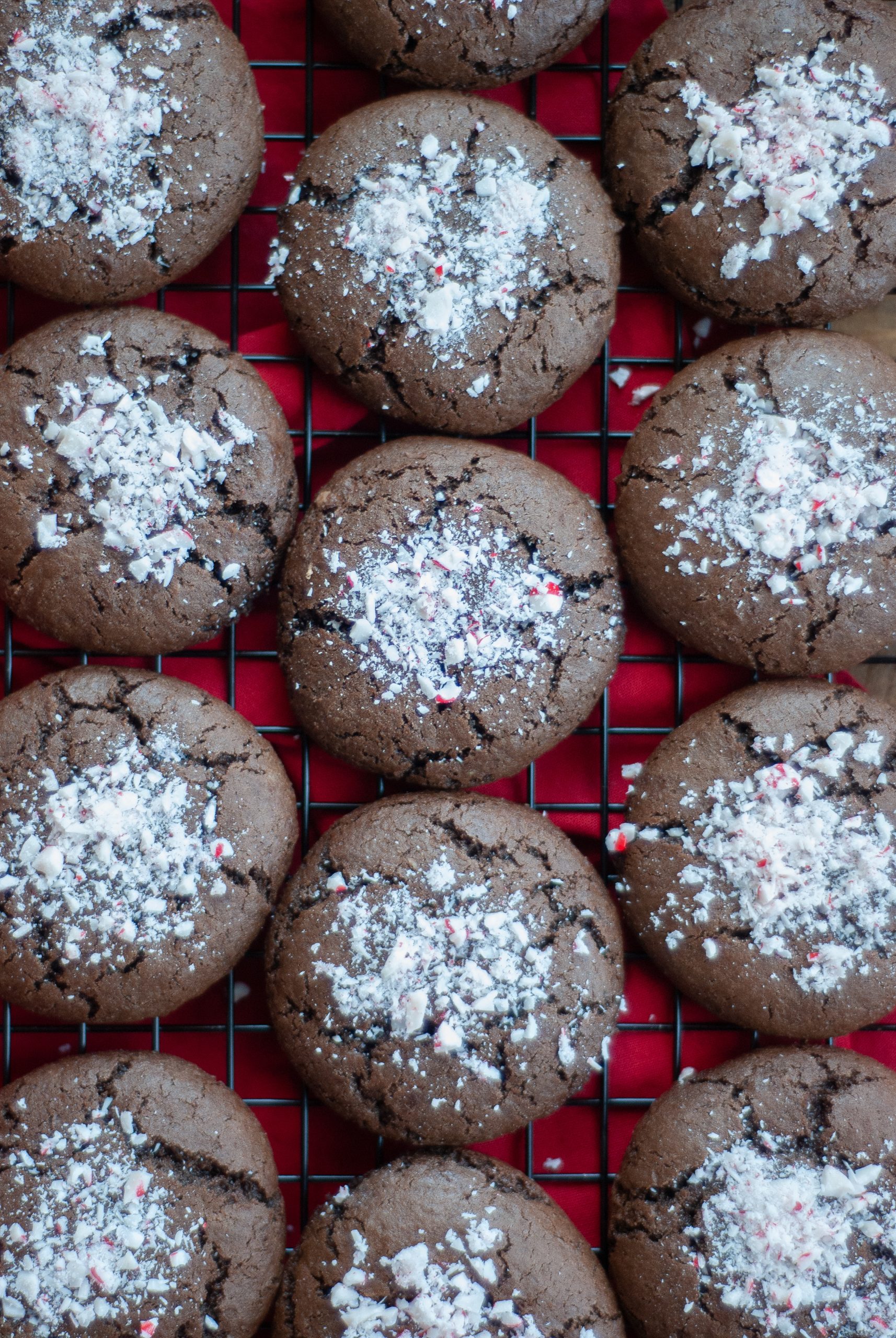 Chocolate Peppermint Holiday Cookies - Macrostax